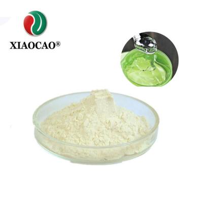China 100% natural Aloe vera gel extract light yellow powder ISO factory top quality for sale