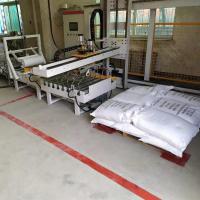 China PLC Control Low Level Palletizer Bag Conventional Palletizer for sale