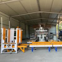 China Bag Carton Box Robotic Palletizer Machine Pallet Stacking Machine for sale