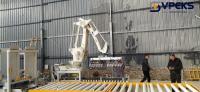 China Automation Horizontal Transfer Type Depalletizer Machine for sale