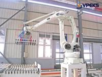 China 100-2000mm Height Depalletizer Machine Automatic for sale