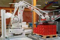 China Efficient Transfer Palletizer Machine For Carton Plastic Cases for sale