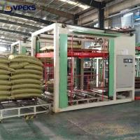 China Customizable Level Palletizer With Schneider Electric Components for sale