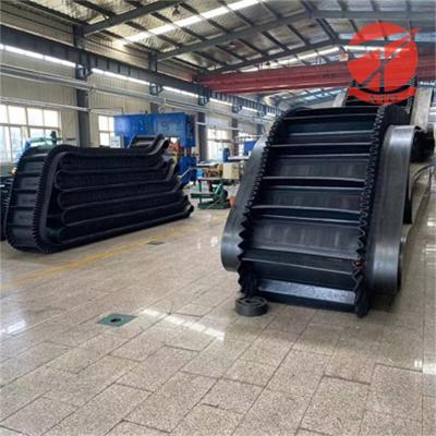 Cina TC140 Cintura trasportatrice laterale ondulata in gomma di design speciale in vendita