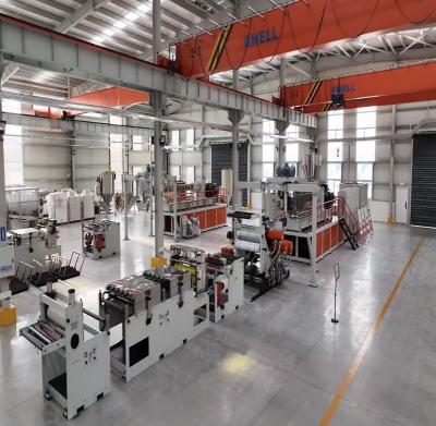 China PET Sheet Extrusion Machine with 300-1500kg/h Output Capacity Twin Screw Design and High Energy Efficiency Heating System for sale