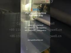 300-500 kg/h PET-Thermoforming-Blatt-Produktionslinie PET, zwei Schrauben ohne Kristallisation und Trocknung