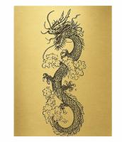 Quality Chinese Dragon Cloud Pattern Etched Stainless Steel Decorative Panel with Anti for sale