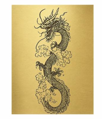 China Chinese Dragon Cloud Pattern Etched Stainless Steel Decorative Panel with Anti-Fingerprint Treatment and Customizable Color Options for sale