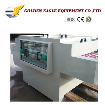 Cina Precision Golden Eagle Competitive Engraved Nameplate Etching Machine Precision Engraving in vendita