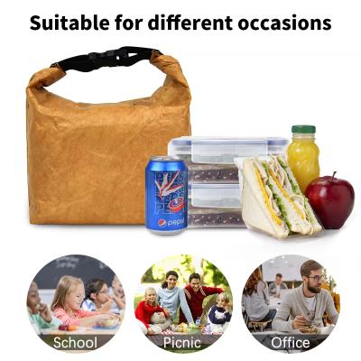 中国 断熱食品 熱アルミホイール デュポント タイベック クラフト紙 ランチクーラー バッグ 販売のため