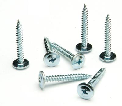 Cina Galvanized Cross Flat Head Screws/ Various Stainless Steel Screws /Factory Customization in vendita