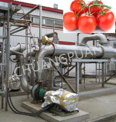 Cina Linea di produzione di pasta di pomodori per la trasformazione alimentare supportata da un servizio tecnico online in vendita
