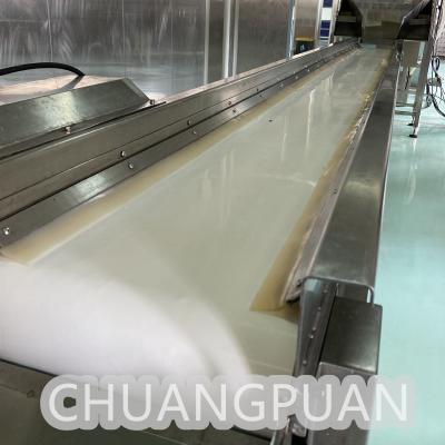 Cina Estrazione dell'acqua di cocco nel sistema di imballaggio personalizzato della macchina di lavorazione del cocco in vendita