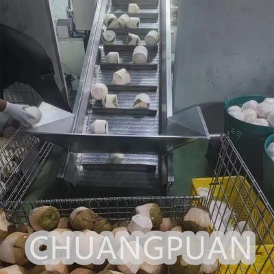 Cina Sistema di riempimento delle bottiglie per macchine di lavorazione dell'acqua e del latte di cocco efficienti 1 anno in vendita