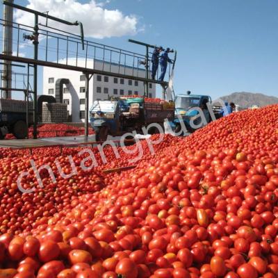 China Linha de produção de pasta de tomate concentrada à venda
