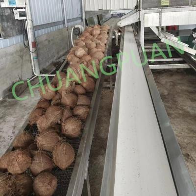 Cina Macchina per la lavorazione del cocco per l'estrazione dell'olio 220V 380V 415V in vendita