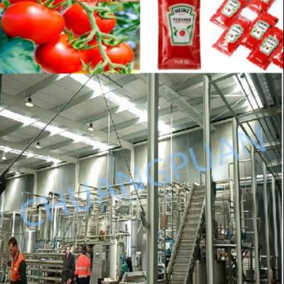 Cina Linea di produzione di salsa di pomodoro efficiente e personalizzabile Voltaggio 440V in vendita