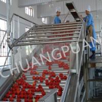 China Automatic Packaging System for Tomato Paste Production Line with Customized Design for sale