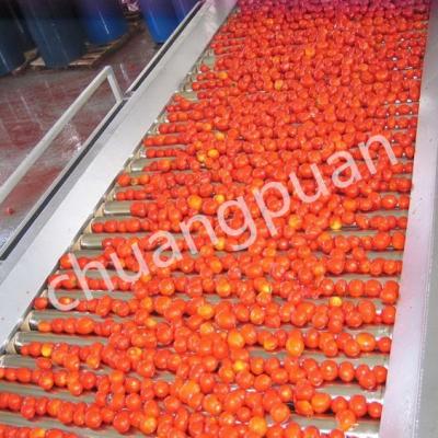 Cina Linea di produzione di pasta di pomodoro su scala industriale con sterilizzatore tubo in tubo o tulari in vendita