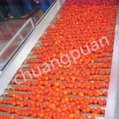 Cina Linea di produzione di pasta di pomodoro per sterilizzatori tubo in tubo o tulari 2-20T/h in vendita