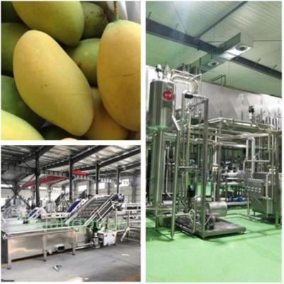 Cina Linea di produzione di pasta di mango in acciaio inossidabile 380V 410V in vendita