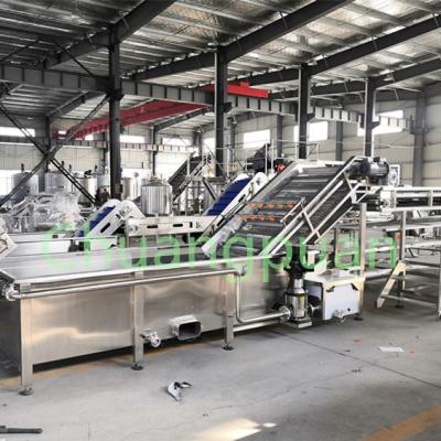 Cina CE Mango Pulper 500-50000KG/h Acciaio inossidabile 20KW in vendita