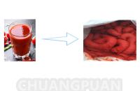 China Automatic Continually Tomato Paste Stainless Steel Evaporator For Industrial Applications for sale
