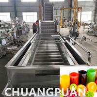 China Customizable 1 - 10T/H Celery Ginger Juice Production Line Squeezing Processing Machine for sale