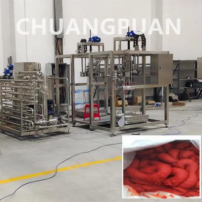 China Stainless Steel Tomato Ketchup Production Line Gas Heating Resource And Automatic Filling System Te koop