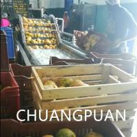 China Automatic Tomato Paste Processing Machine PLC Control System Canned 400g 800g Filling for sale