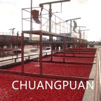 China Automatic Tomato Paste Processing Machine PLC Control System Canned 400g 800g Filling for sale