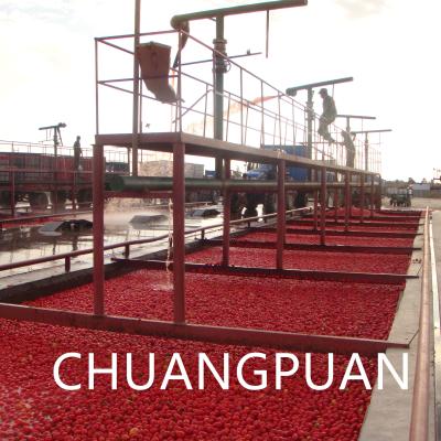 China Máquina automática de processamento de pasta de tomate Sistema de controlo PLC Em lata 400g 800g Enchimento à venda