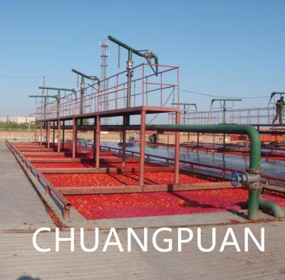 China Tube In Tube Automatische 6 Tons Tomato Paste Productie Lijn PLC Control Roestvrij staal Te koop