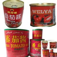 China Customizable Automatic Tomato Paste and Sauce Production Line with OEM Capability for sale