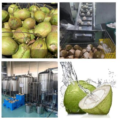 China Machine d'extraction d'eau de coco hautement automatique pour les solutions de traitement de la noix de coco for sale