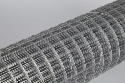 China Anti Corrosion Welded Steel Wire Mesh High Strength for Wall Anti Crack Plaster Reinforcement Mesh for sale