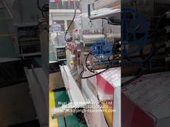 middle 6 inch servo motor softgel encapsulation machine