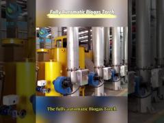 Vollautomatische Biogasflamme Edelstahlverdauer Flamme Anaerobe Behandlung