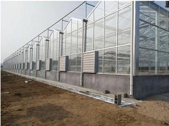 China Glass Greenhouse for griculture Vegetables hydroponic systems equipment Multi-Span Glass for sale
