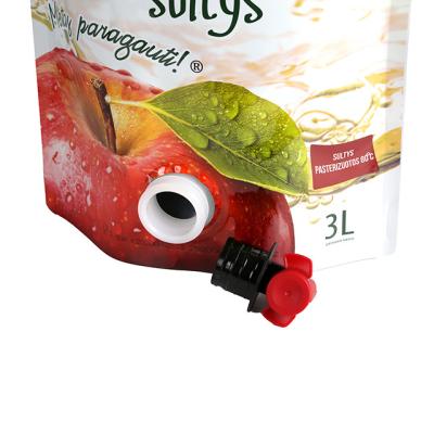 China Moisture Proof Stand Up Pouch With Spout Customized Oem Accepted for sale