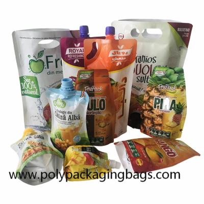 Cina Il supporto riutilizzabile della plastica sul sacchetto con lo speciale del becco ha modellato in vendita