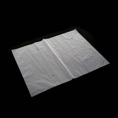 Cina Without Printed Self Adhesive Bags with Full Degradable Materials in vendita