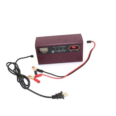 China gel acidificado ao chumbo de Smart AGM do carregador do gotejamento da bateria de carro de 12V 24V 10A à venda