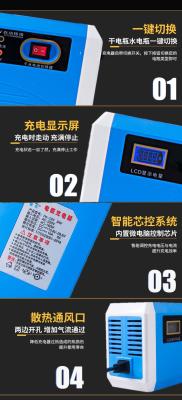 China gel acidificado ao chumbo de Smart AGM do carregador do gotejamento da bateria de carro de 12V 24V 10A à venda