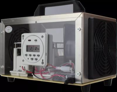 Cina macchina dell'ozono dell'aria fresca del generatore dell'ozono di 20g/H 220V O3 in vendita