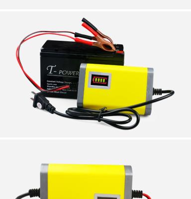中国 高性能の鉛酸蓄電池のための強力でスマートな充電器12v/24v 5A 10A 20Amp 販売のため