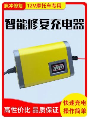 Cina Il CE del caricabatteria di Travelscoot di controllo del microprocessore ha introdotto il CA 180-220V 50Hz in vendita
