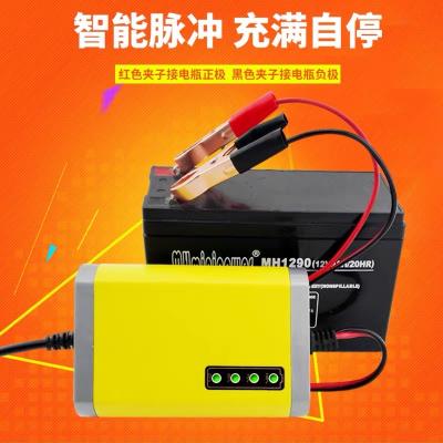 Cina Il CE del caricabatteria di Travelscoot di controllo del microprocessore ha introdotto il CA 180-220V 50Hz in vendita