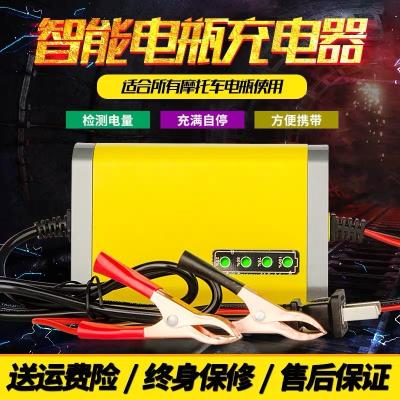 Cina Il CE del caricabatteria di Travelscoot di controllo del microprocessore ha introdotto il CA 180-220V 50Hz in vendita