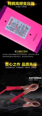Cina Qualità 12v acido al piombo di Gooa al caricatore elettrico astuto 40a della batteria ricaricabile del caricatore 10a di o24v in vendita
